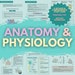 80 Pages Anatomy and Physiology Bundle Package Nurse Study Notes ...
