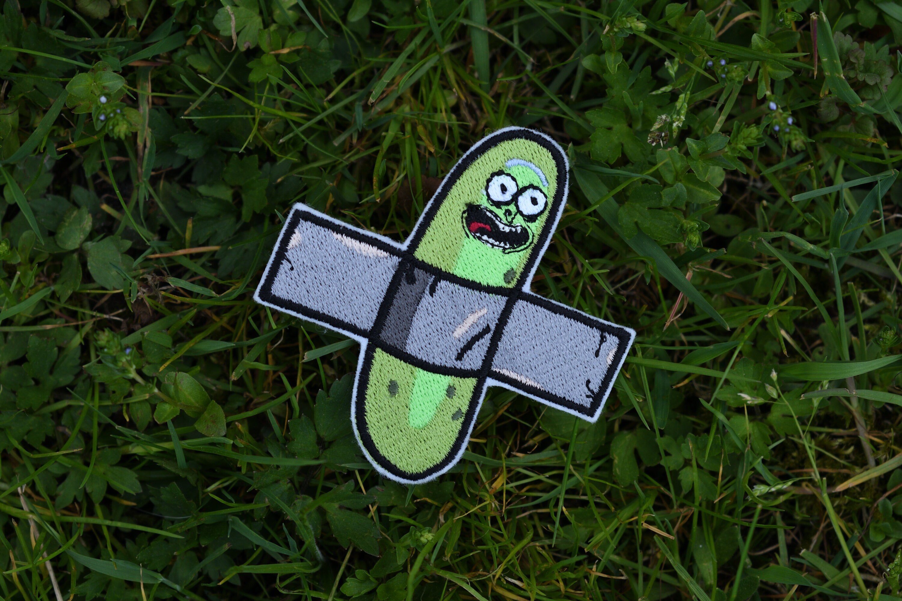 CARTOON INSPIRED Iron on Patch / Pickle Rick Patch / Embroidered Iron ...