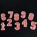 Line Number Pin - Etsy