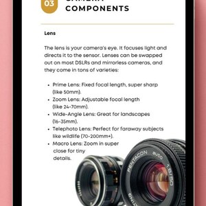 Beginner Photography Guide: Camera Settings, Lighting, Composition ...