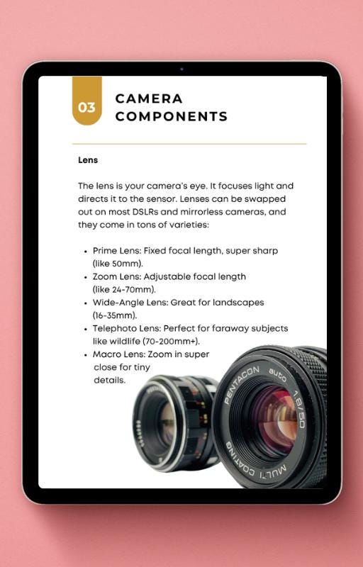 Beginner Photography Guide: Camera Settings, Lighting, Composition ...