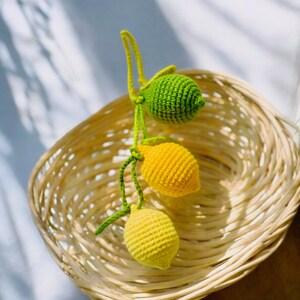 Crochet Pattern Lemon, Crochet Lemon Amigurumi PATTERN PDF ONLY, Citrus ...