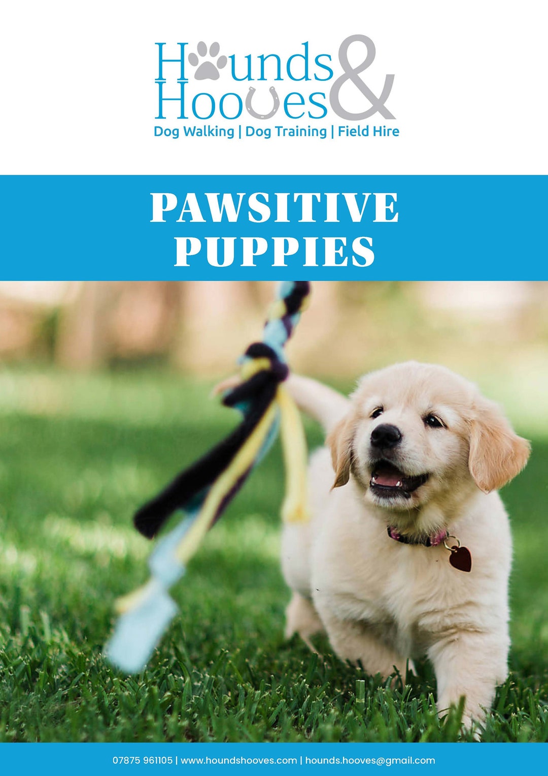 Pawsitive Puppies Survival Guide - Etsy