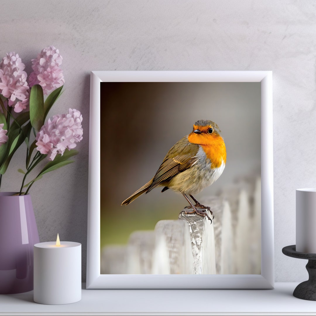 Robin Wall Art, Robin Bathroom Wall Art, Nature Digital Print, Bird Art ...