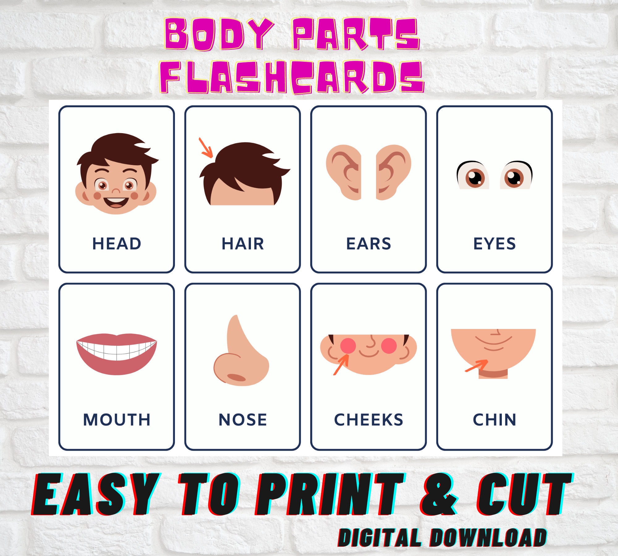 Body Parts Flashcards For Kids