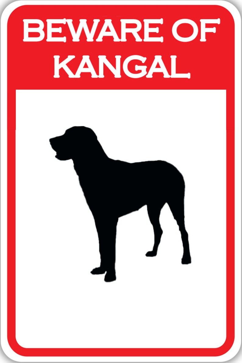 Beware of Kangal Waterproof Vinyl Sticker For: Entrance, Laptop, Book ...