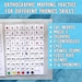 Phonics Folder Word Building & Spelling Practice - Science of Reading ...