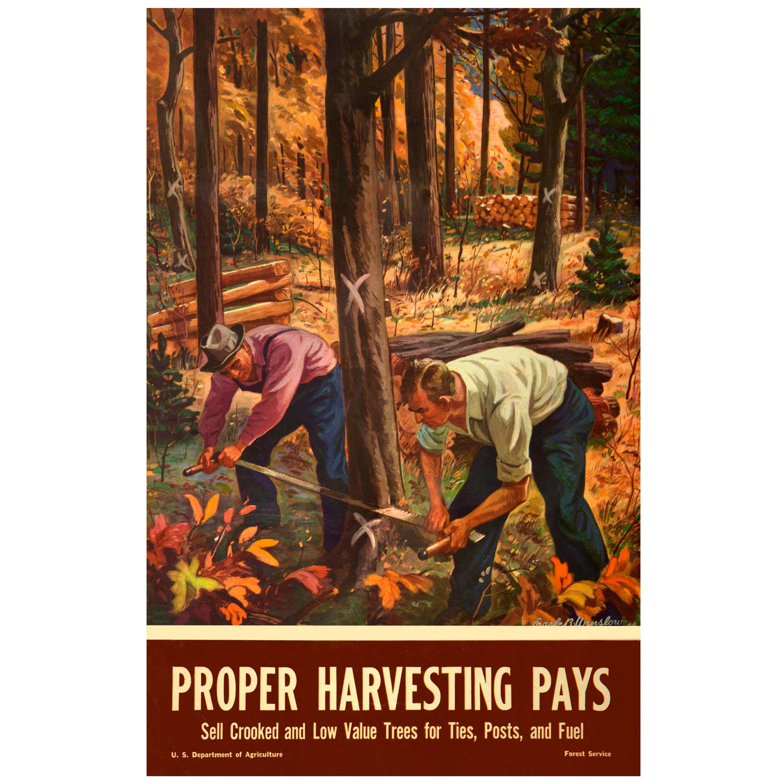 Vintage US Department of Agriculture Forestry Poster, Proper Harvesting ...