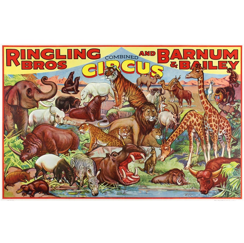 Vintage Ringling Brothers Barnum and Bailey Circus Poster, Circus ...
