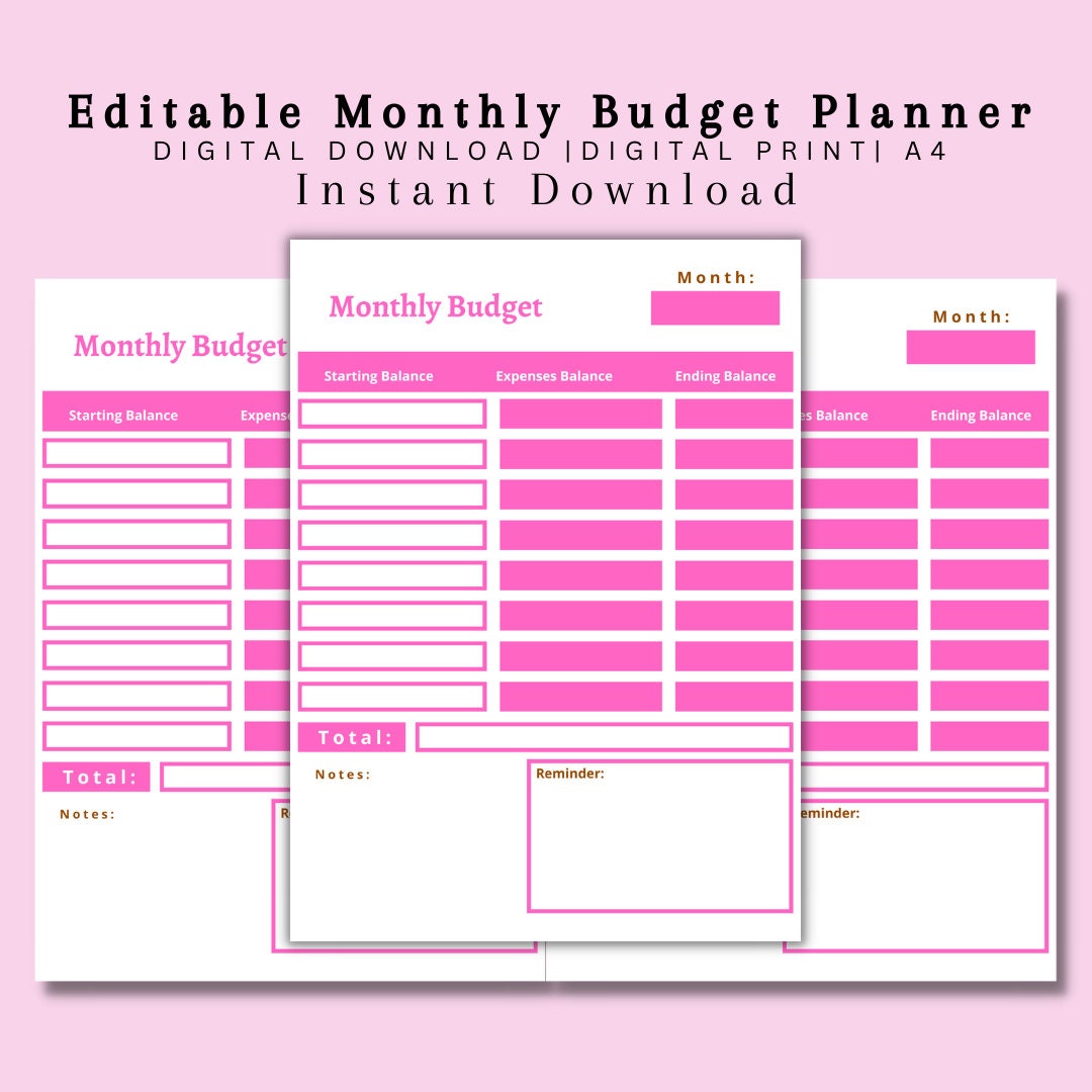 Editable Budget Planner || Daily Budget Planner - Etsy