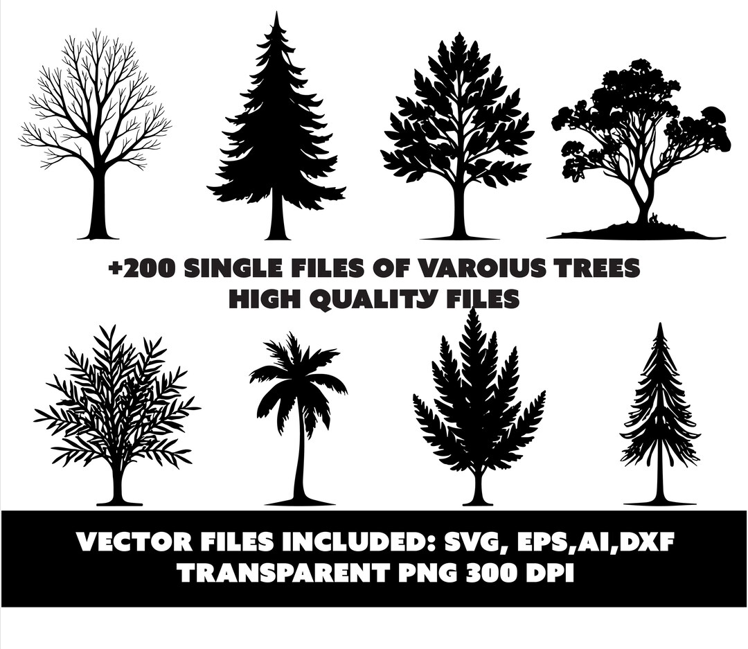 Tree Svg Bundle, Forest Clipart Png, Tree Vector Files, Palm Tree Svg ...