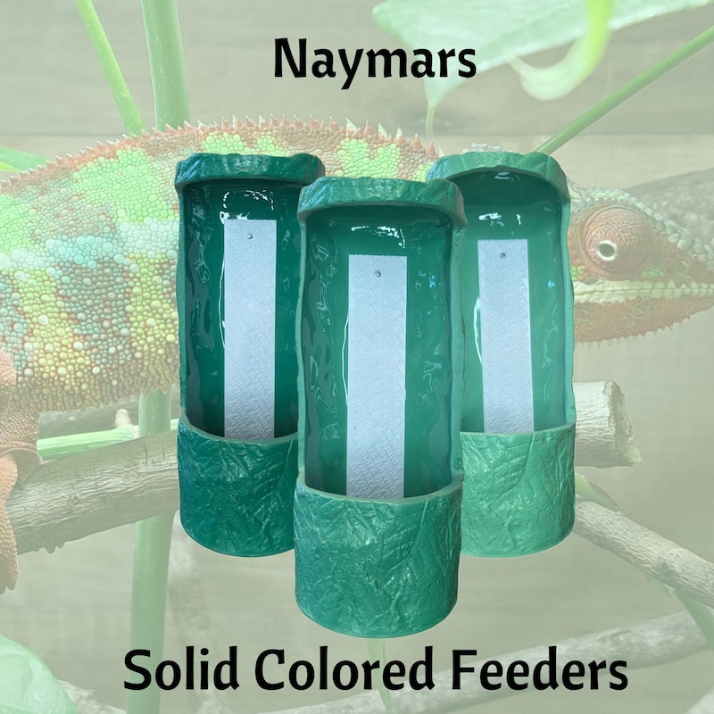 Reptiles Feeder - Etsy