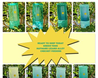 Naymars' Lizard-alley Cricket Feeder. Durable Made in the - Etsy