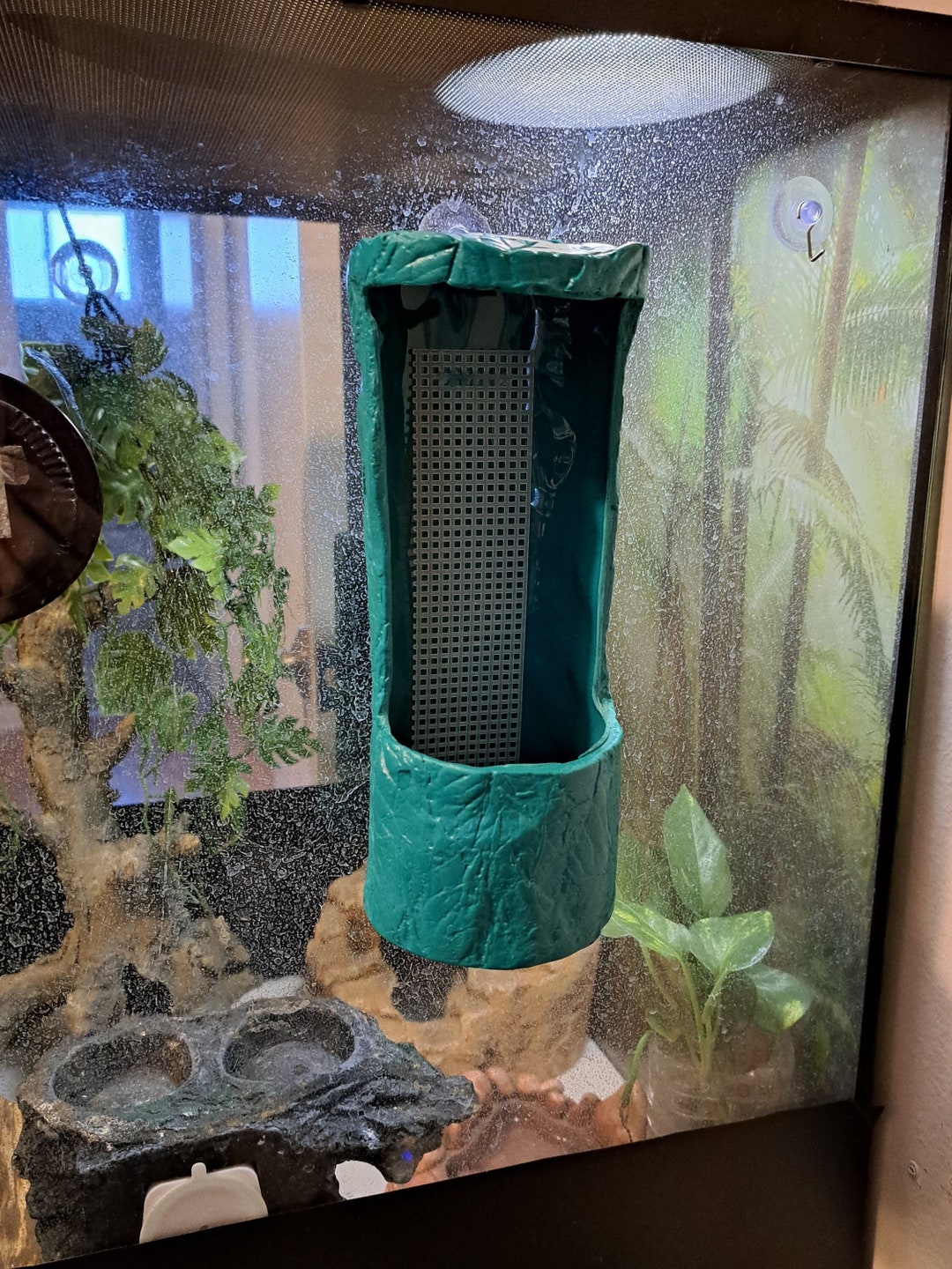 Naymars' Lizard-alley Cricket Feeder. Durable Made in the - Etsy