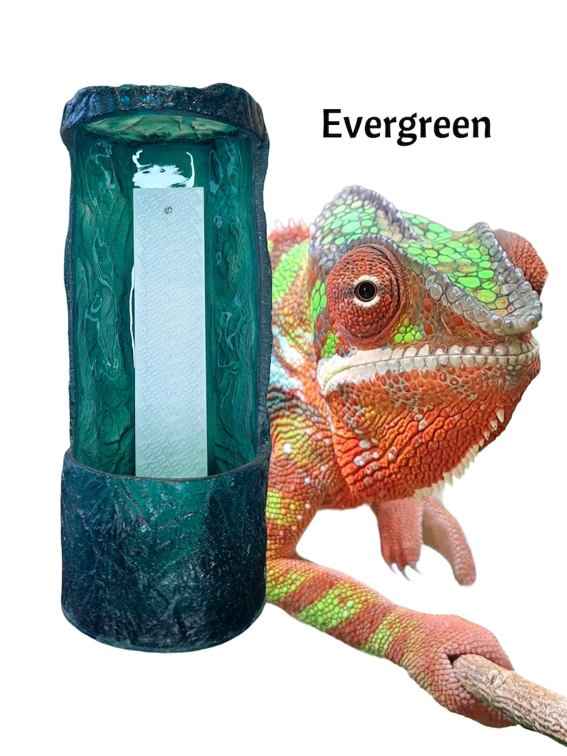 Naymars' Lizard-alley Cricket Feeder. Durable Made in the USA Chameleon ...