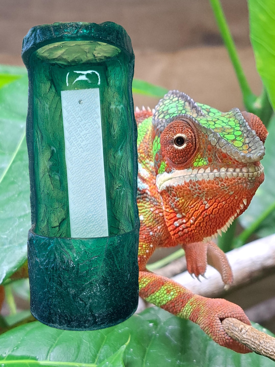 Naymars' Lizard-alley Cricket Feeder. Durable Made in the USA Chameleon ...