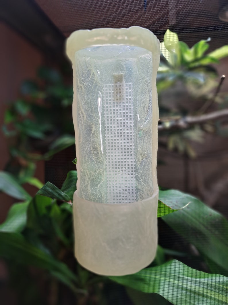 Naymars' Lizard-alley Cricket Feeder. Durable Made in the - Etsy