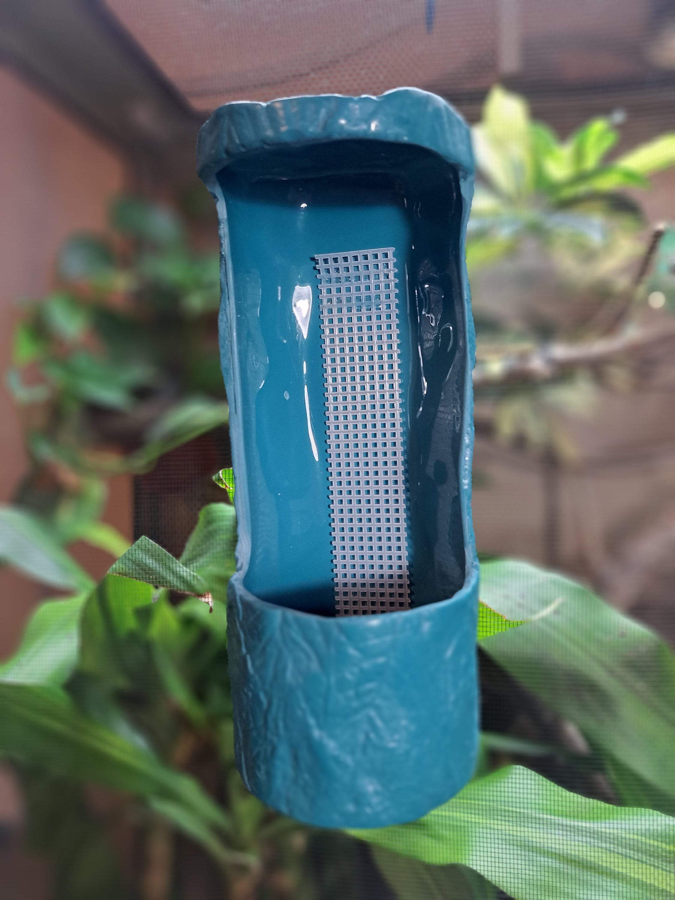 Naymars' Lizard-alley Cricket Feeder. Durable Made in the USA Chameleon ...