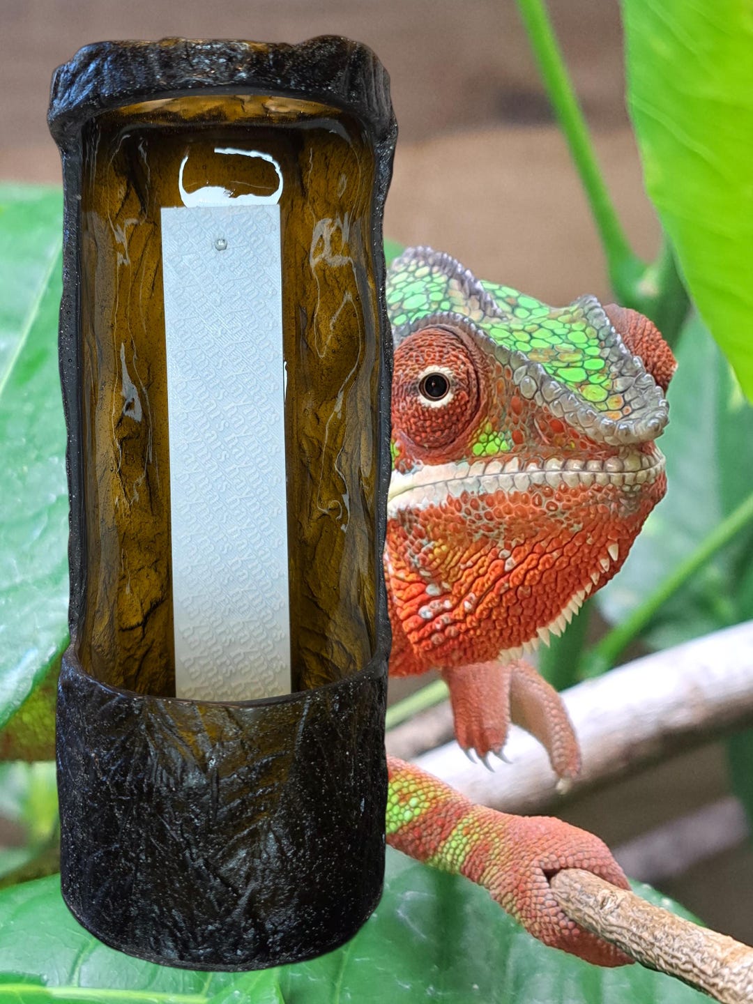 Naymars' Lizard-alley Cricket Feeder. Durable Made in the USA Chameleon ...