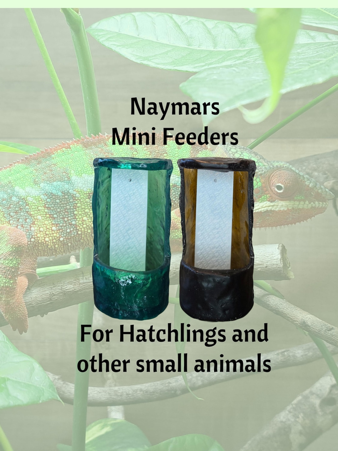 Naymars Mini Feeder Run for Hatchlings and Other Small Reptiles - Etsy