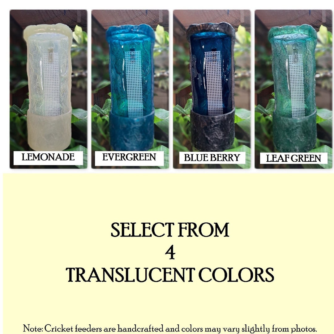 Naymars' Lizard-alley Cricket Feeder. Durable Made in the - Etsy