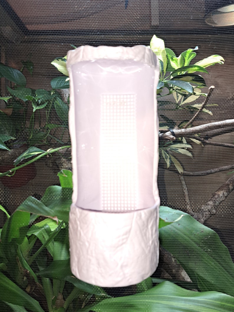 Naymars' Lizard-alley Cricket Feeder. Durable Made in the - Etsy