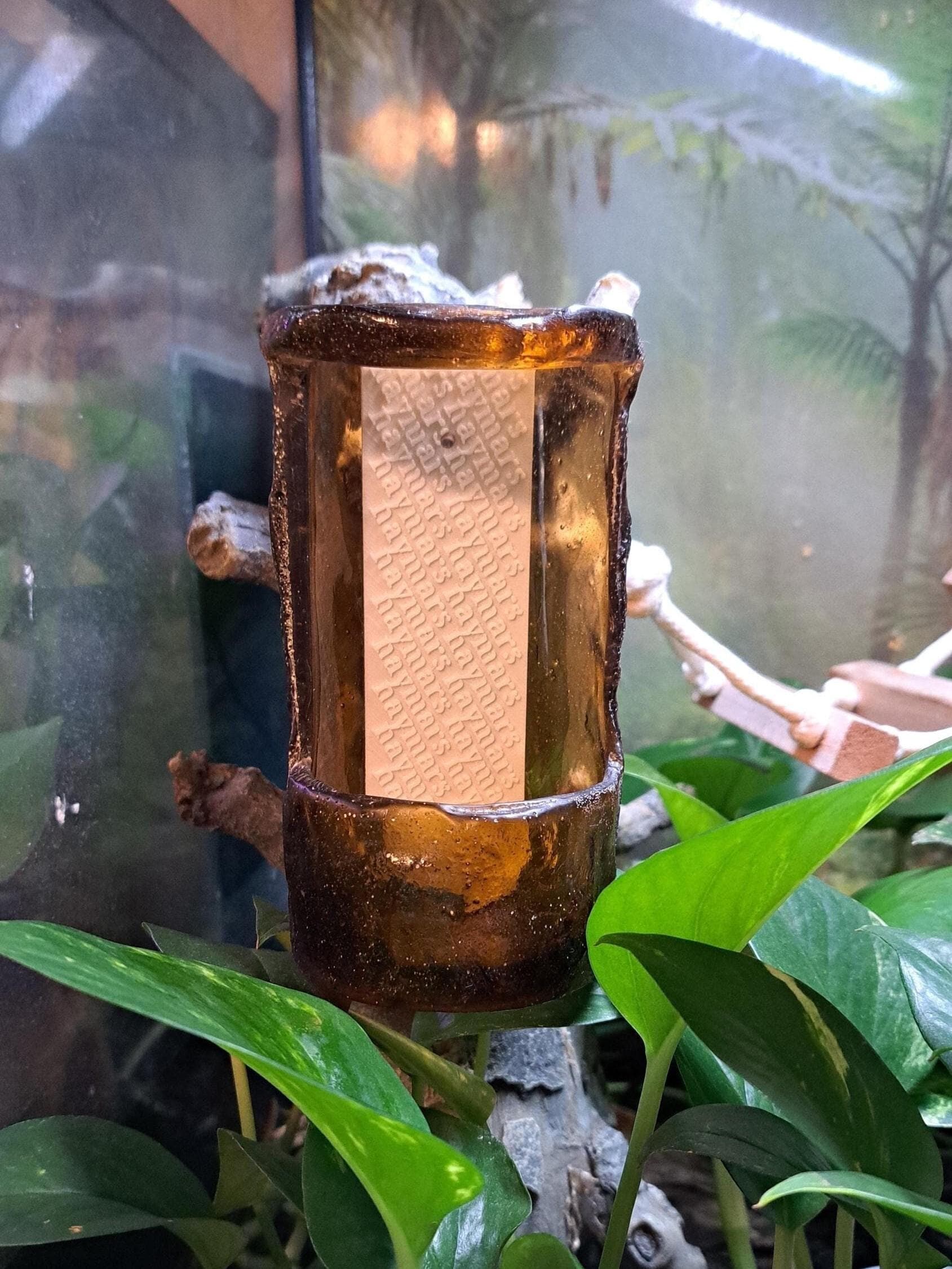 Naymars Mini Feeder Run for Hatchlings and Other Small Reptiles - Etsy