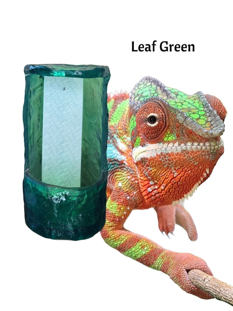 Naymars Mini Feeder Run for Hatchlings and Other Small Reptiles - Etsy
