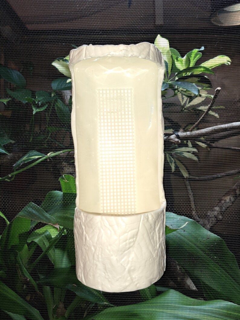 Naymars' Lizard-alley Cricket Feeder. Durable Made in the - Etsy