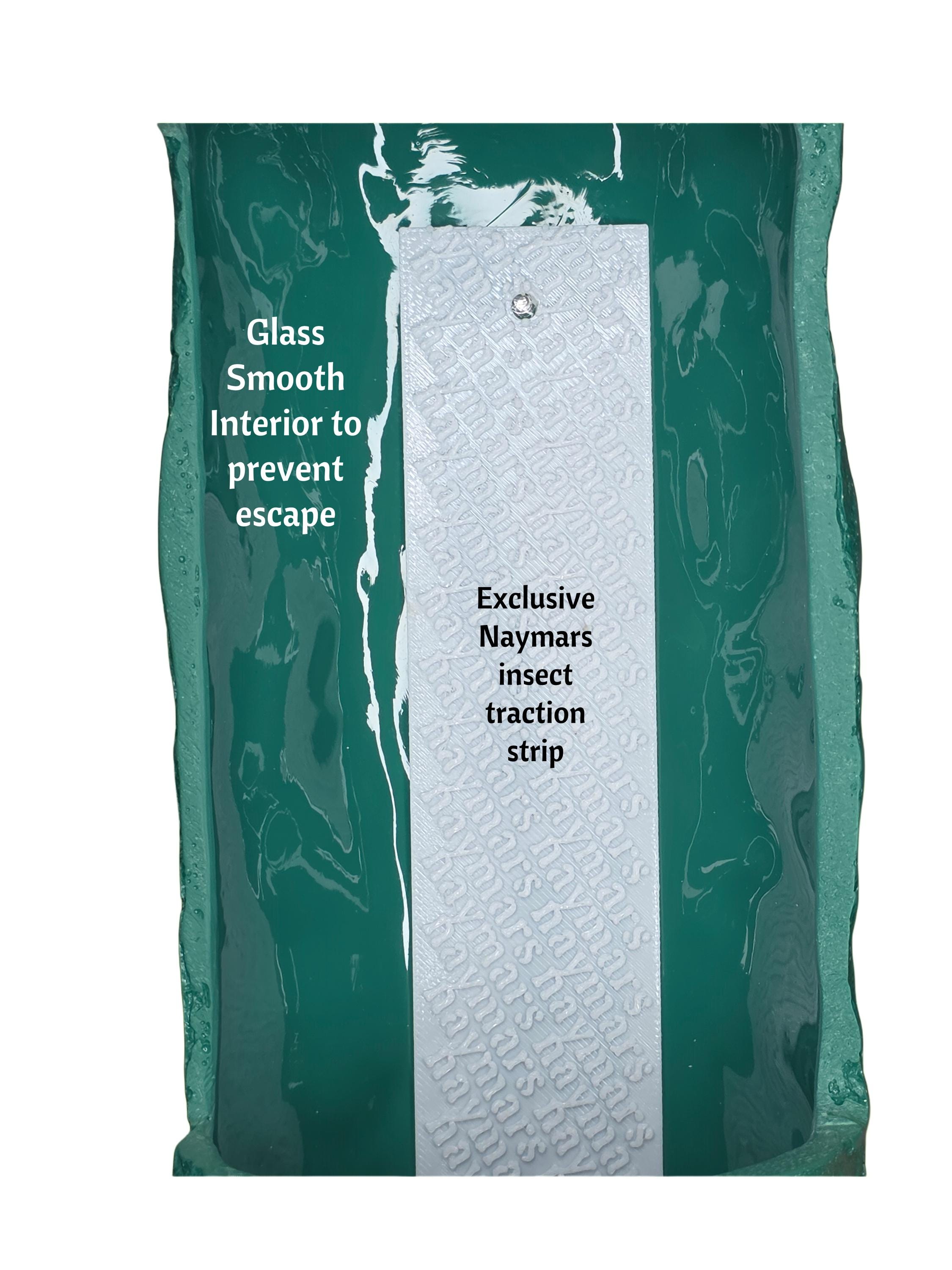 Naymars' Lizard-alley Cricket Feeder. Durable Made in the USA Chameleon ...