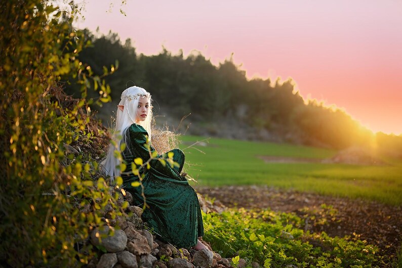 Girls' Velvet Elf Costume: Medieval Forest Dress, Ears & Headband - Etsy