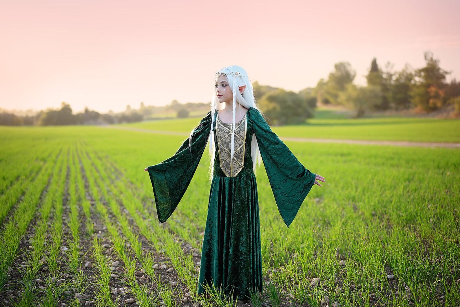 Girls' Velvet Elf Costume: Medieval Forest Dress, Ears & Headband - Etsy
