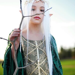 Girls' Velvet Elf Costume: Medieval Forest Dress, Ears & Headband - Etsy