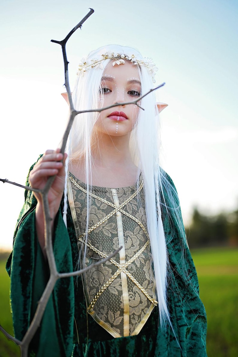 Girls' Velvet Elf Costume: Medieval Forest Dress, Ears & Headband - Etsy