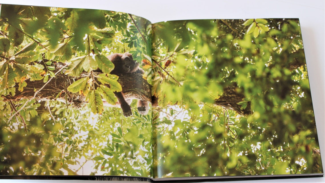 Wildlife in Pictures Softcover Photograph Book by Craig Hayman Wild ...