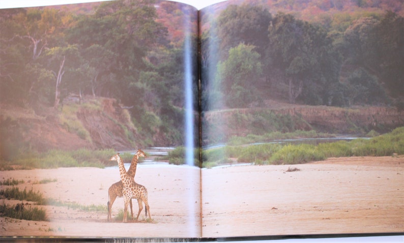 Wildlife in Pictures Softcover Photograph Book by Craig Hayman Wild ...