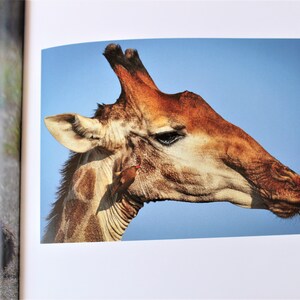 Wildlife in Pictures Softcover Photograph Book by Craig Hayman Wild ...
