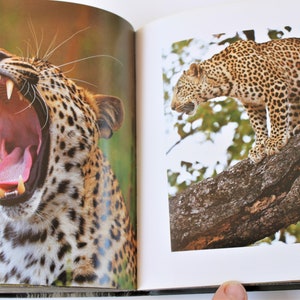 Wildlife in Pictures Softcover Photograph Book by Craig Hayman Wild ...