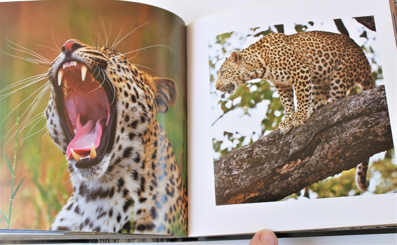 Wildlife in Pictures Softcover Photograph Book by Craig Hayman Wild ...