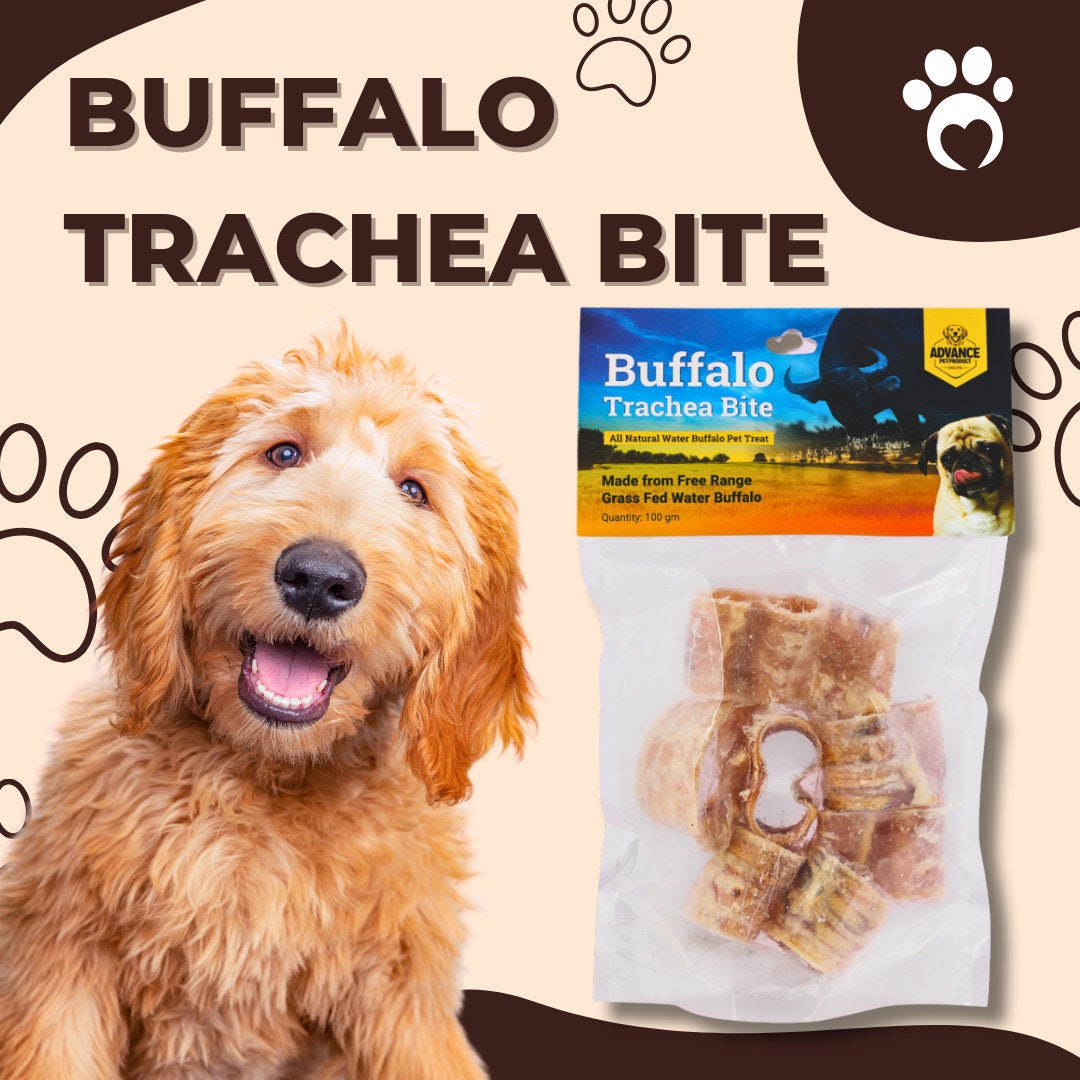 Water Buffalo Trachea Bite!!! - Etsy