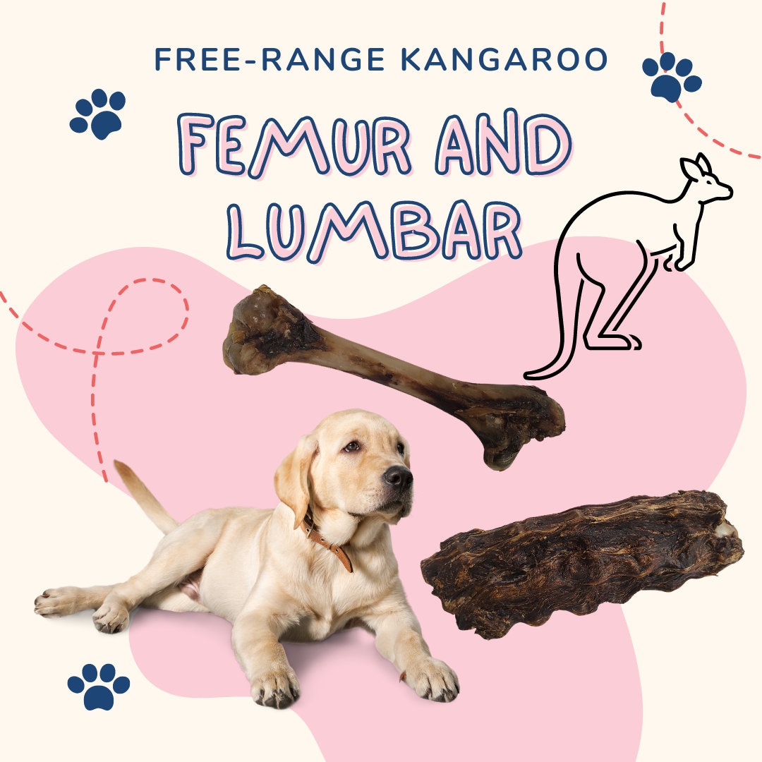 Free-range Kangaroo Femur and Lumbar Treats - Etsy
