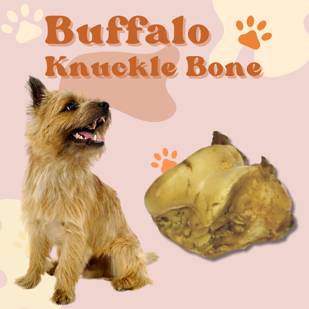 Buffalo Knuckle Bone! Available Bulk and Two Pack! - Etsy