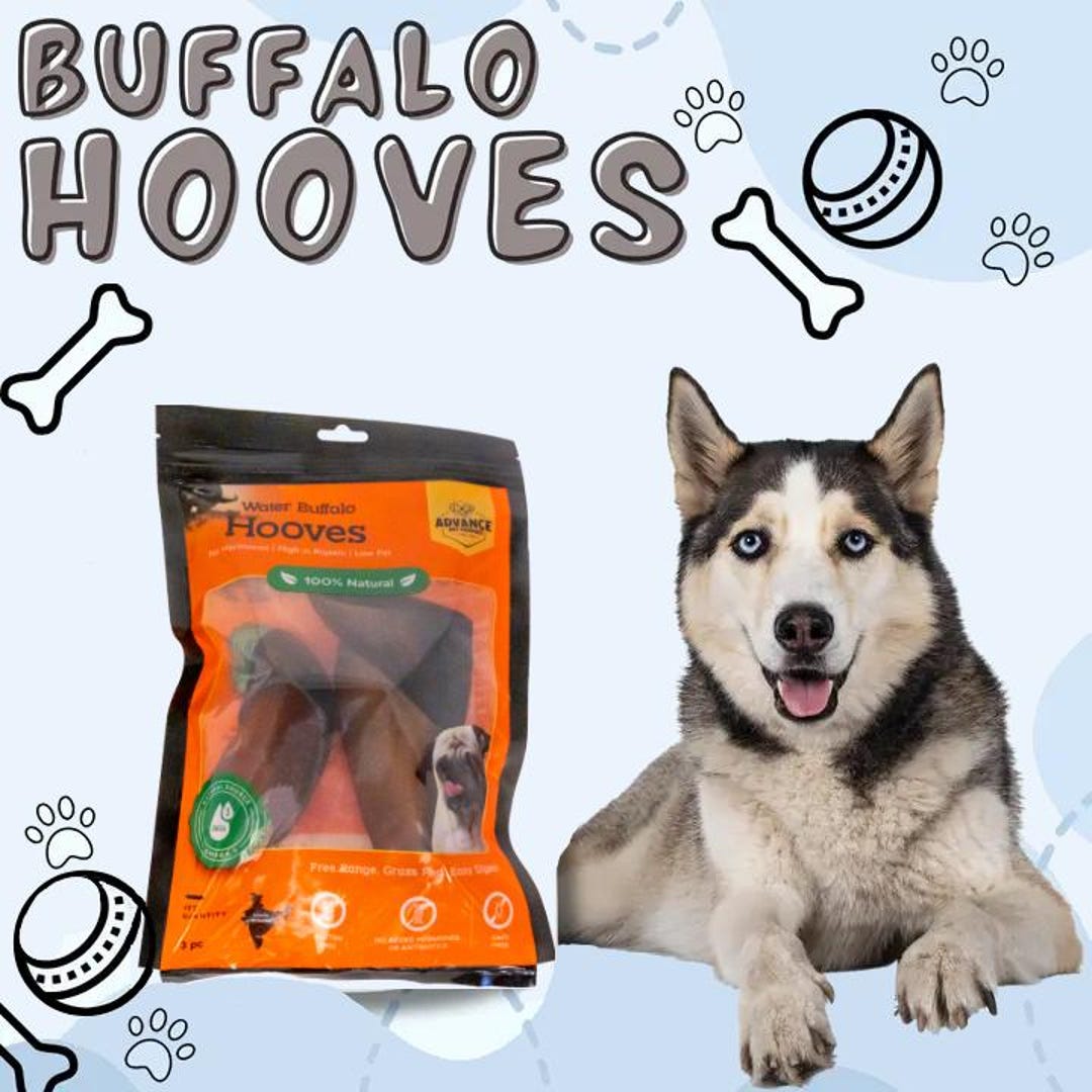 Water Buffalo Hooves Dog Chews | All-natural, Odor-free, Single ...