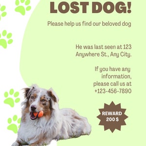 Poster Lost Dog Digital Customize - Etsy