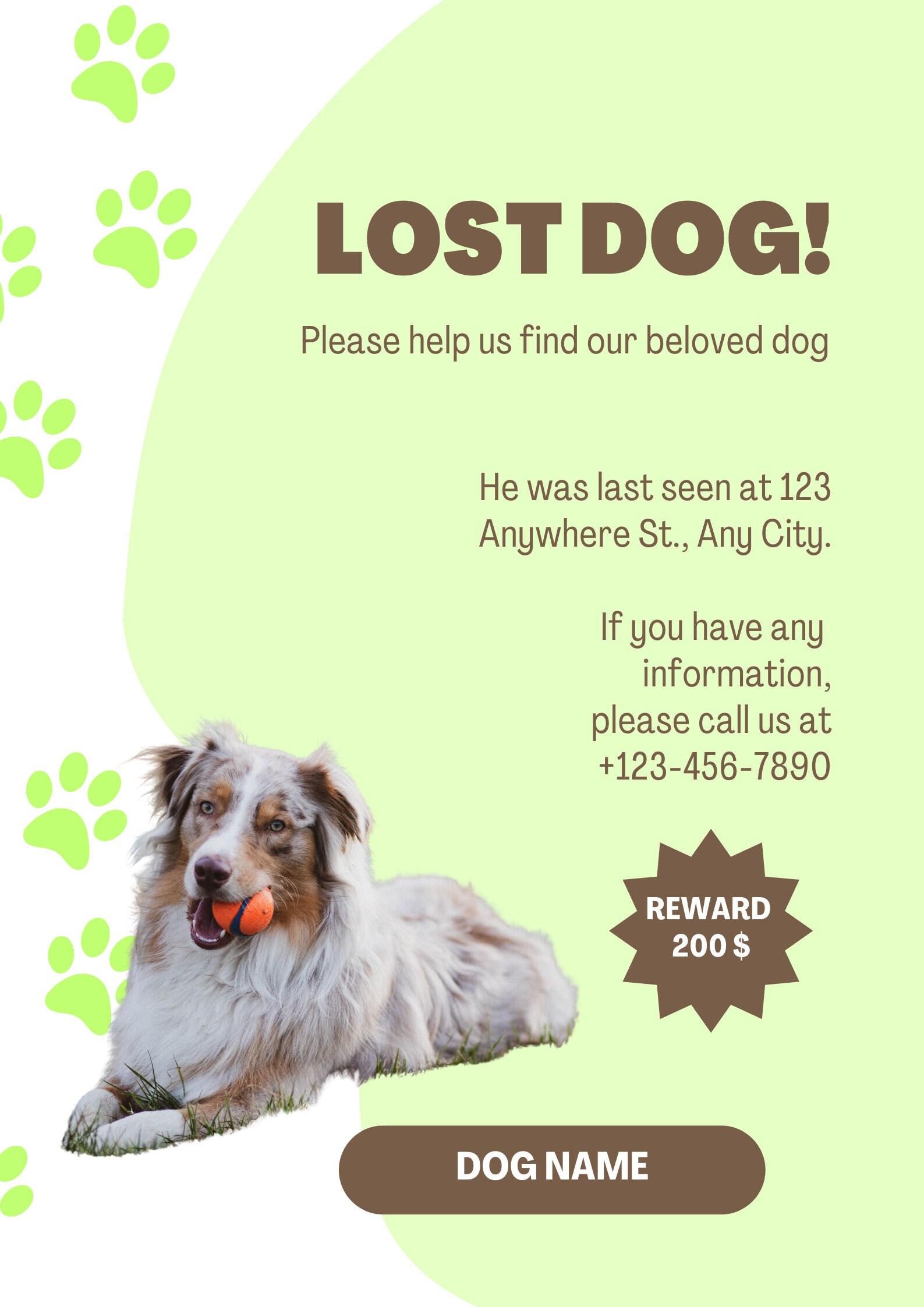 Poster Lost Dog Digital Customize - Etsy