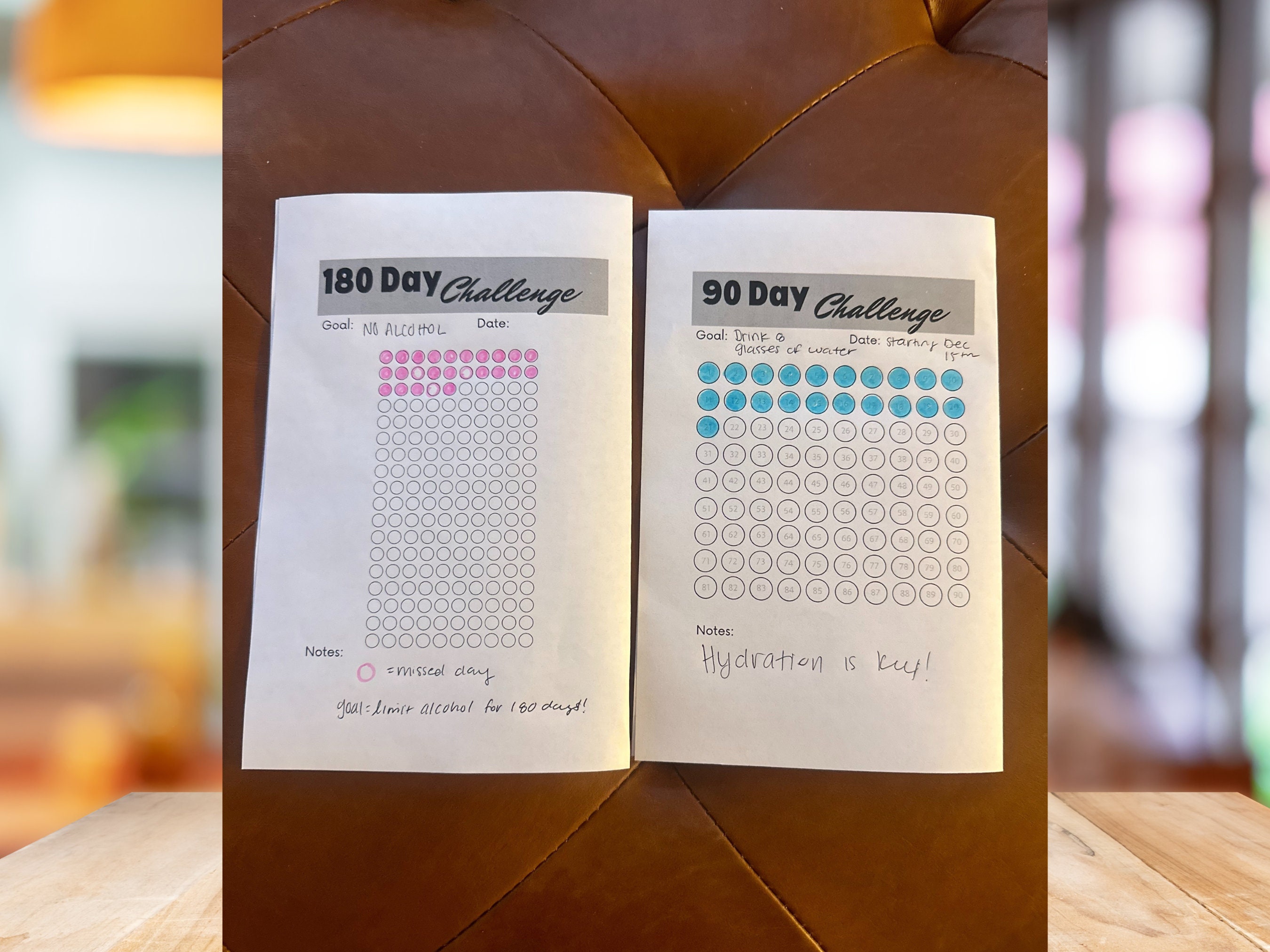 Challenge Tracker Sheet, Printable PDF 30, 90, 180 Days - Goal Setting ...