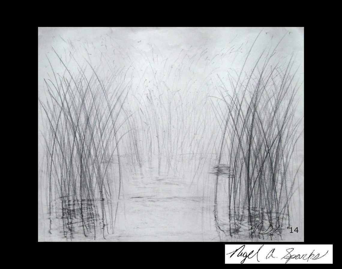 Grass Swamp Art, Swamp Drawing, Digital Download, Wall Art, Swamp ...