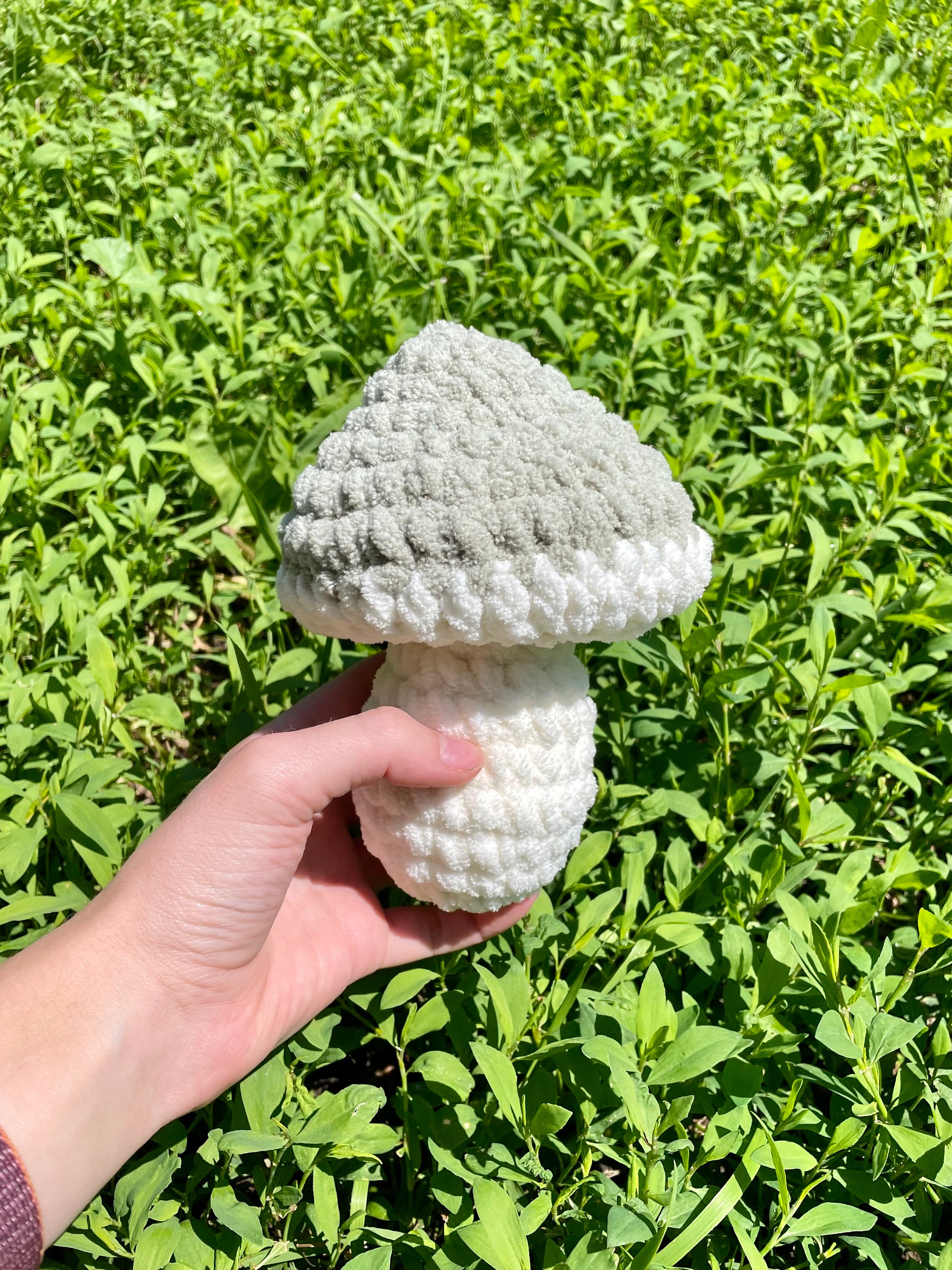 Crochet Mushroom Pattern PDF Digital Download Beginner - Etsy