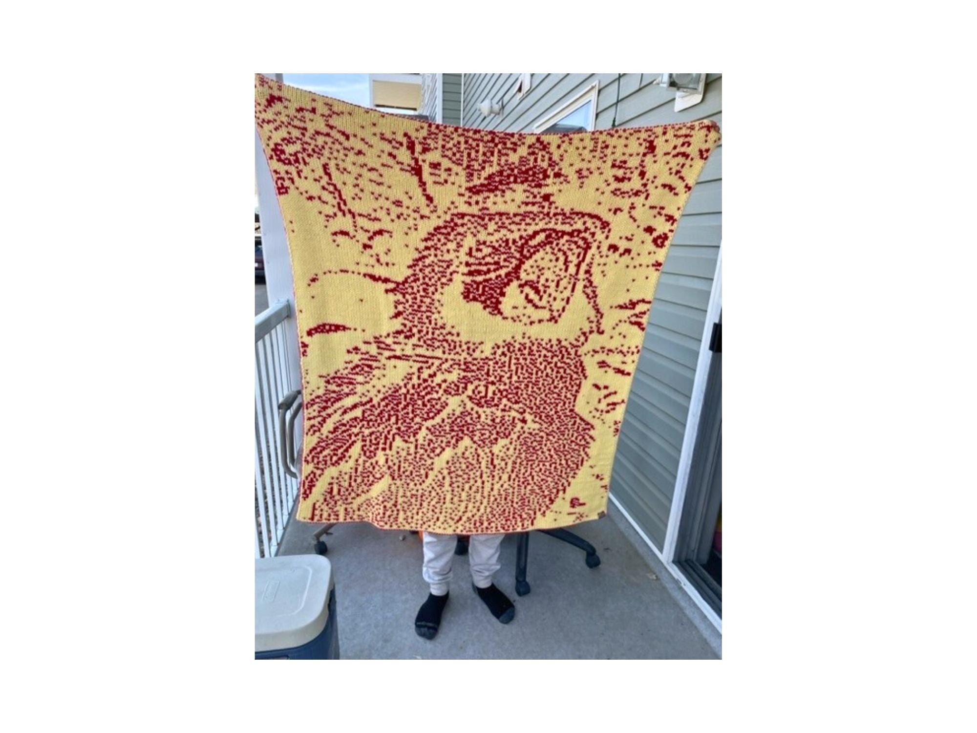 Parrot Baby Blanket Knitting Pattern: Double Knit Afghan (PDF Download ...