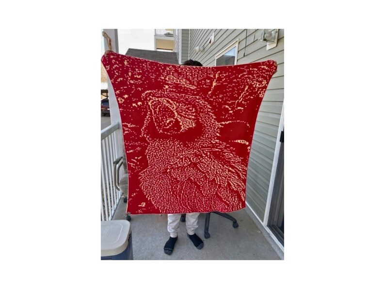 Parrot Baby Blanket Knitting Pattern: Double Knit Afghan (PDF Download ...